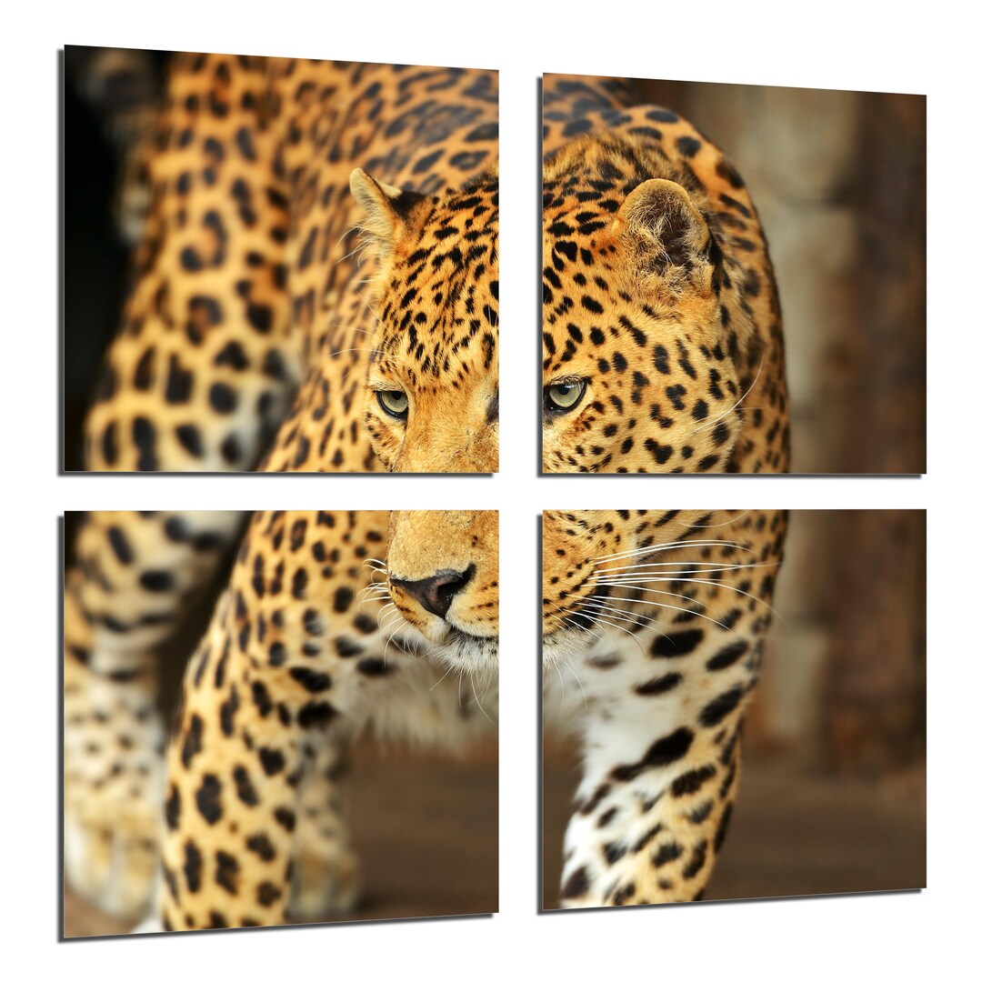 Metal Print - Leopard Close-up, Wildlife Photo - Metal Wall Art Printed ...