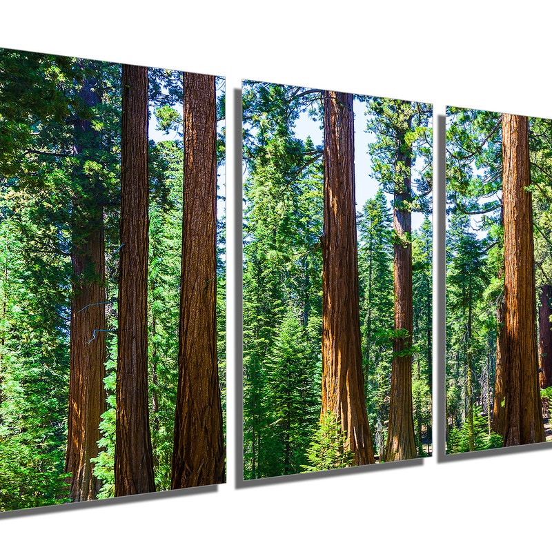 Aluminum Prints - Etsy