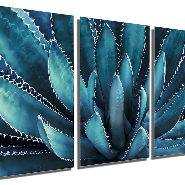 Blue Agave - Etsy