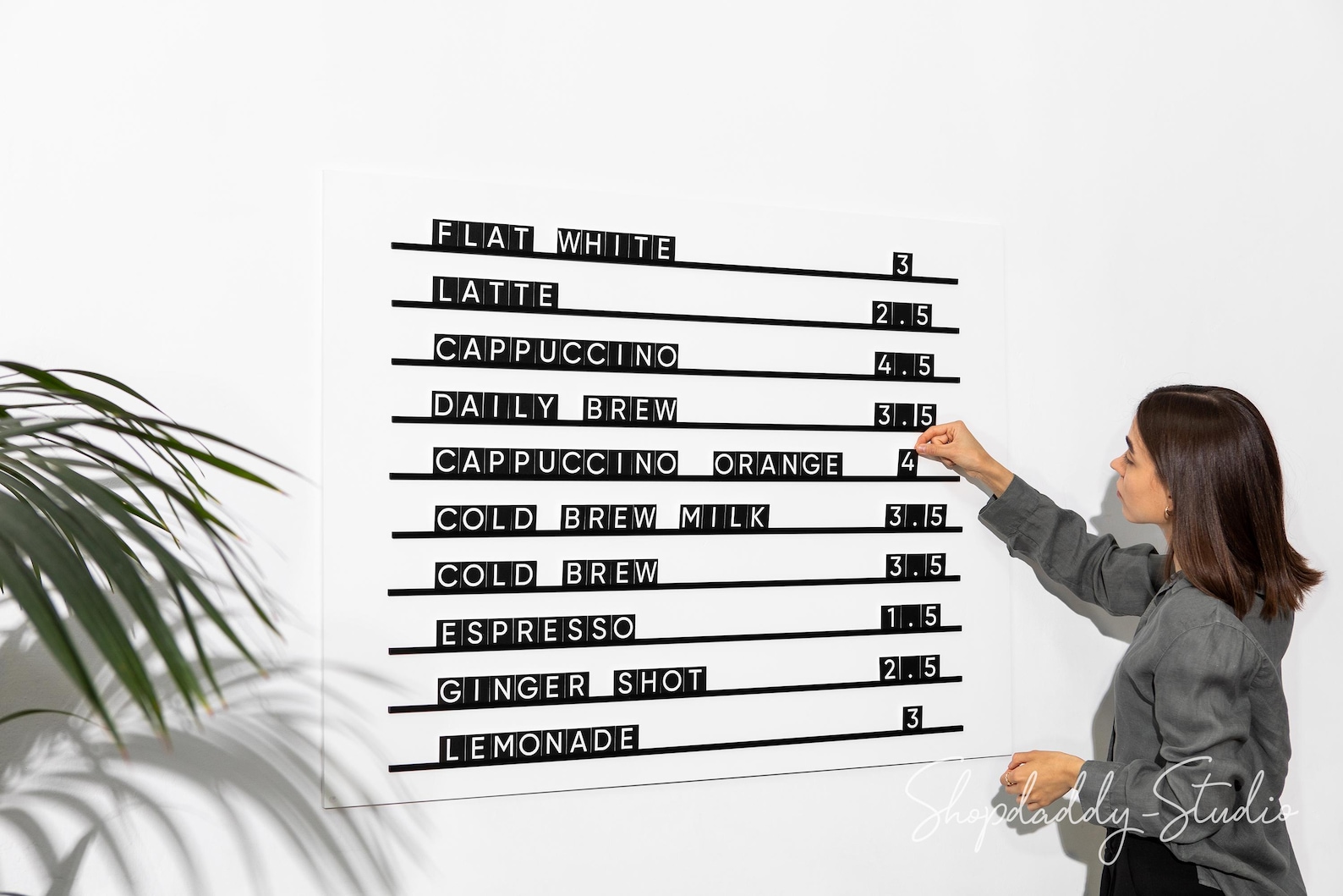 Changeable Letter Board for Menu: Wall Mount Pricing Signage for ...