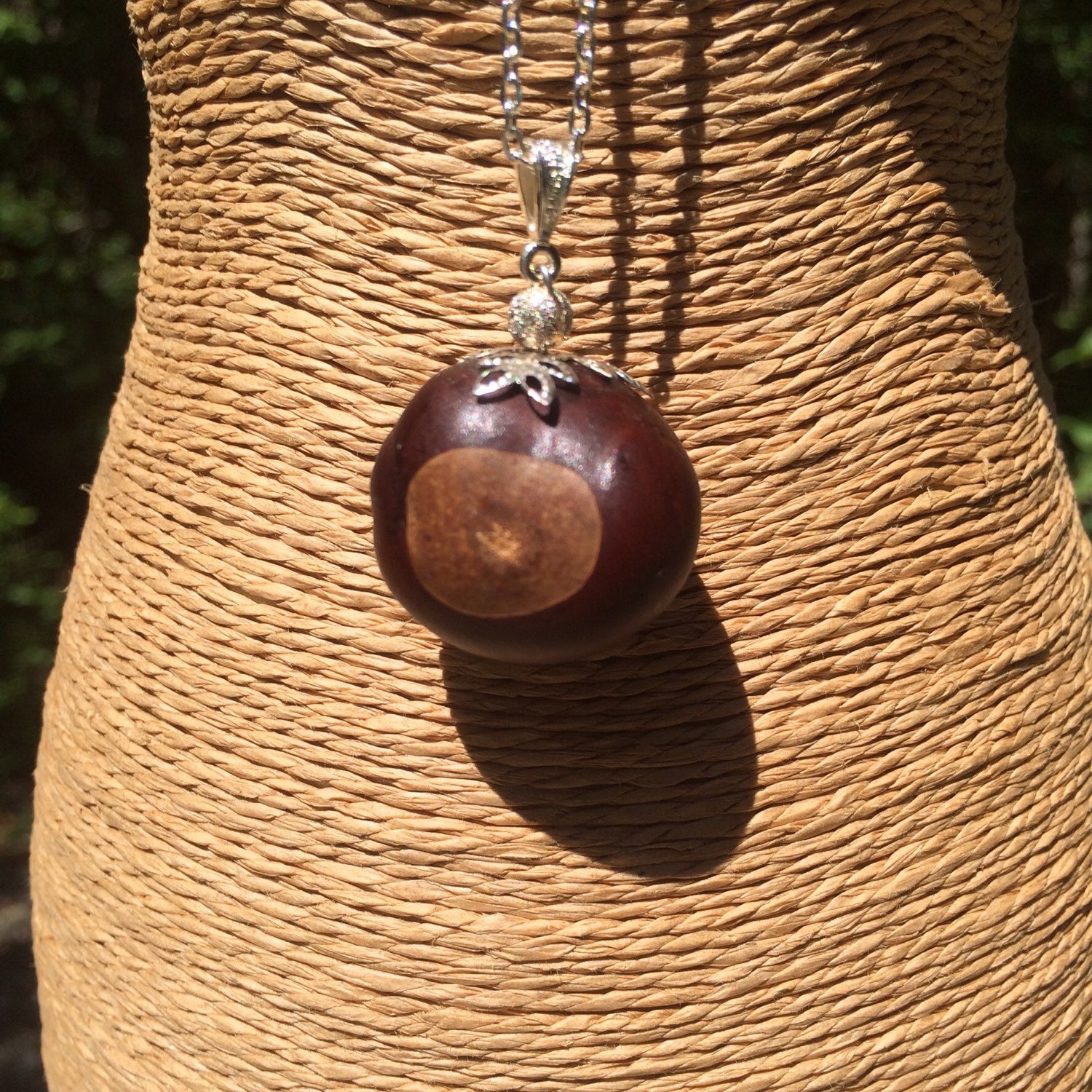 Buckeye Necklace Real, Beautiful, Simple,cured Buckeye Necklace/pendant ...