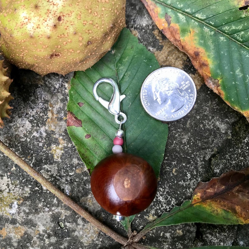 Buckeyes - Etsy