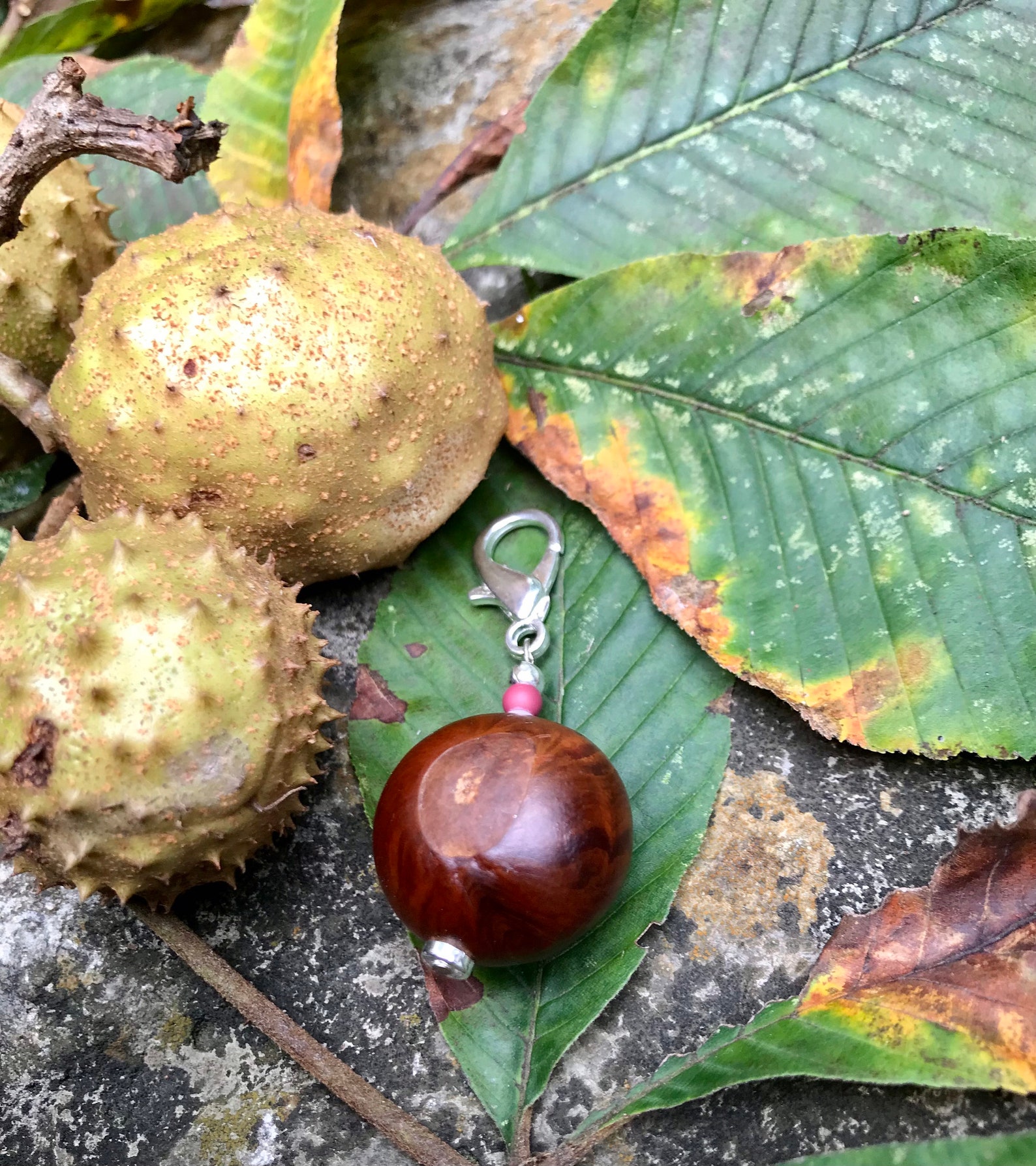 Buckeye Charm, Real,simple,cured Buckeye Charm/zipper Pull/pendant ...