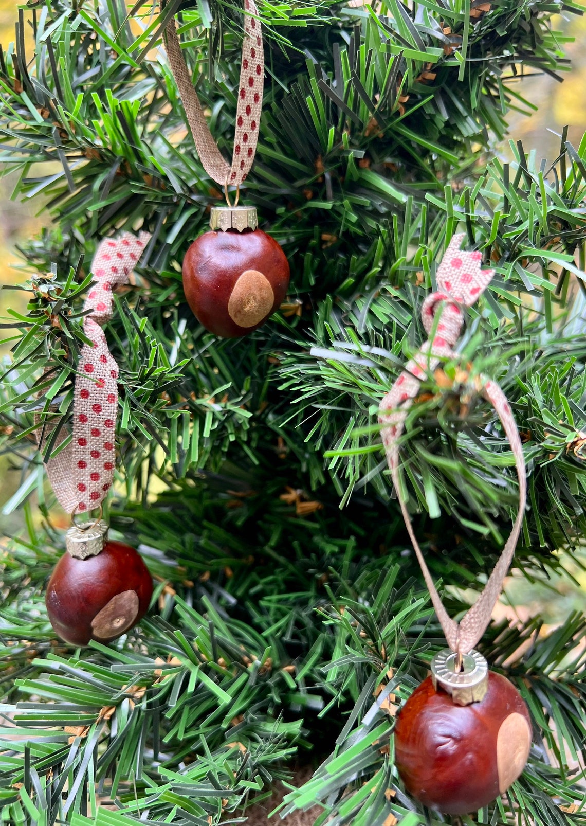5 Holiday Buckeye Ornaments, Real,simple,christmas/buckeye Fan/ohio ...