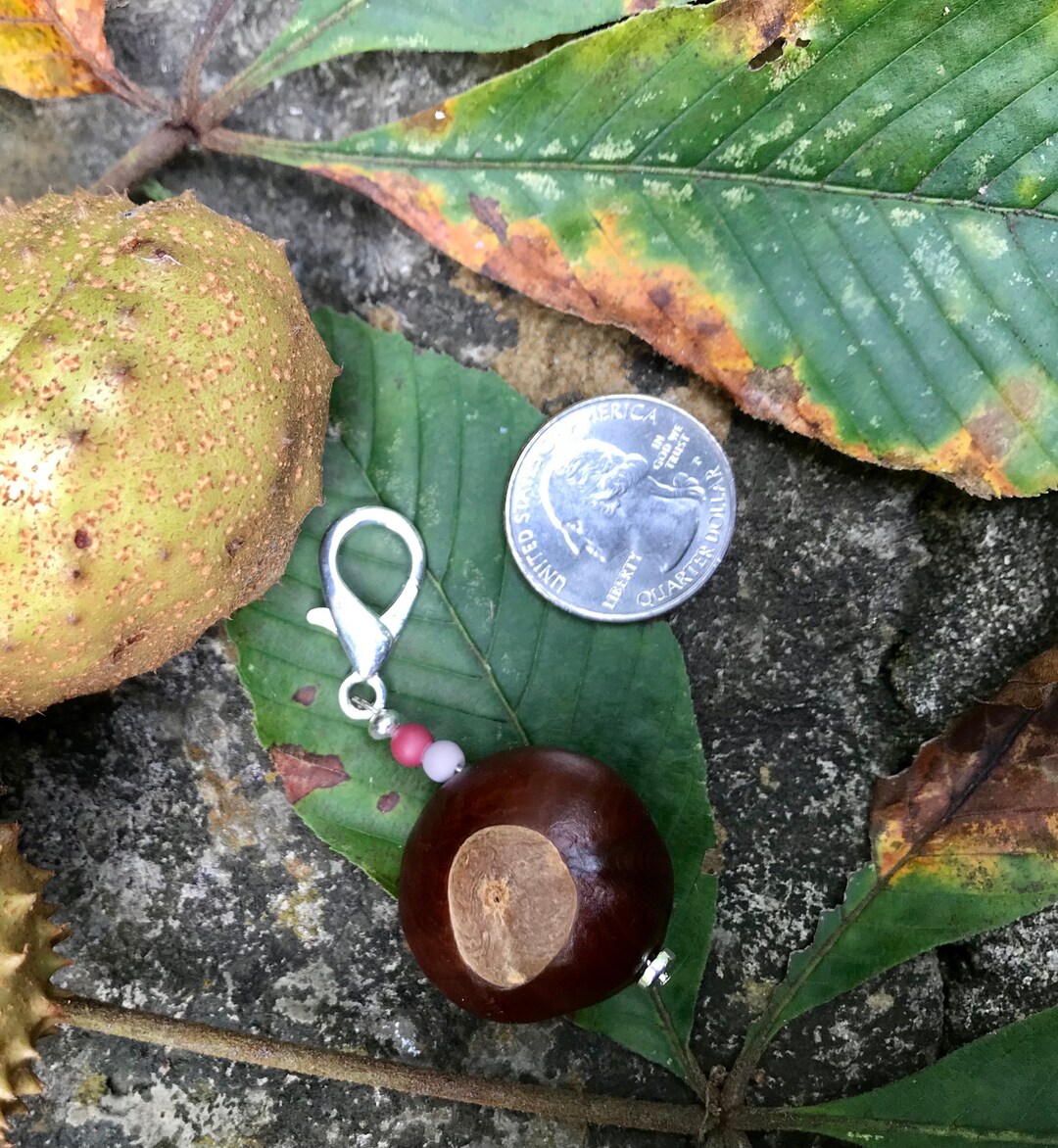 Large Ohio Buckeye Charm,zipper Pull,silver,minimalist,fan Gear,game ...