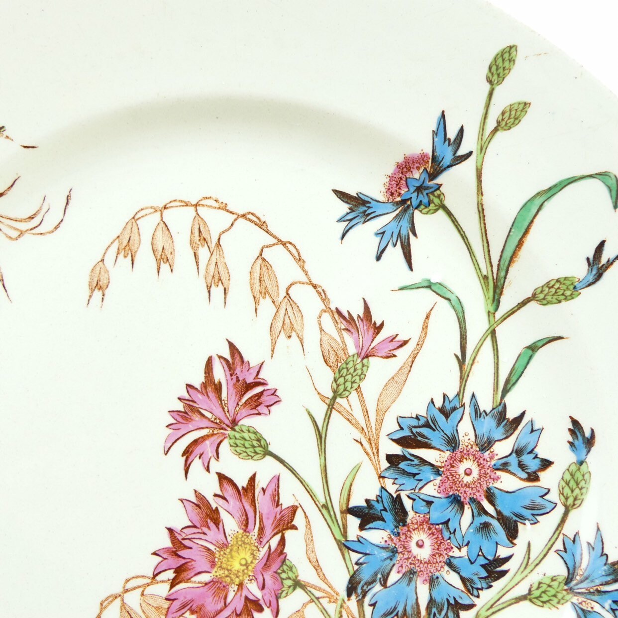 French plate - 19th century - Lunéville blueberry plate - Old colored ...