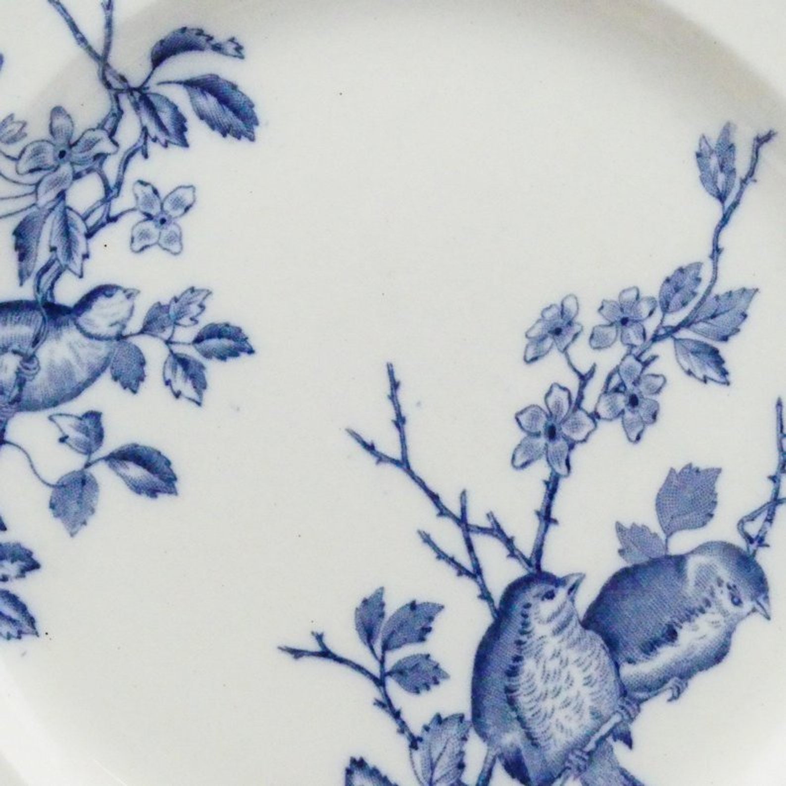 Plate blue birds and blue flowers, Flat plate 19th century French ...