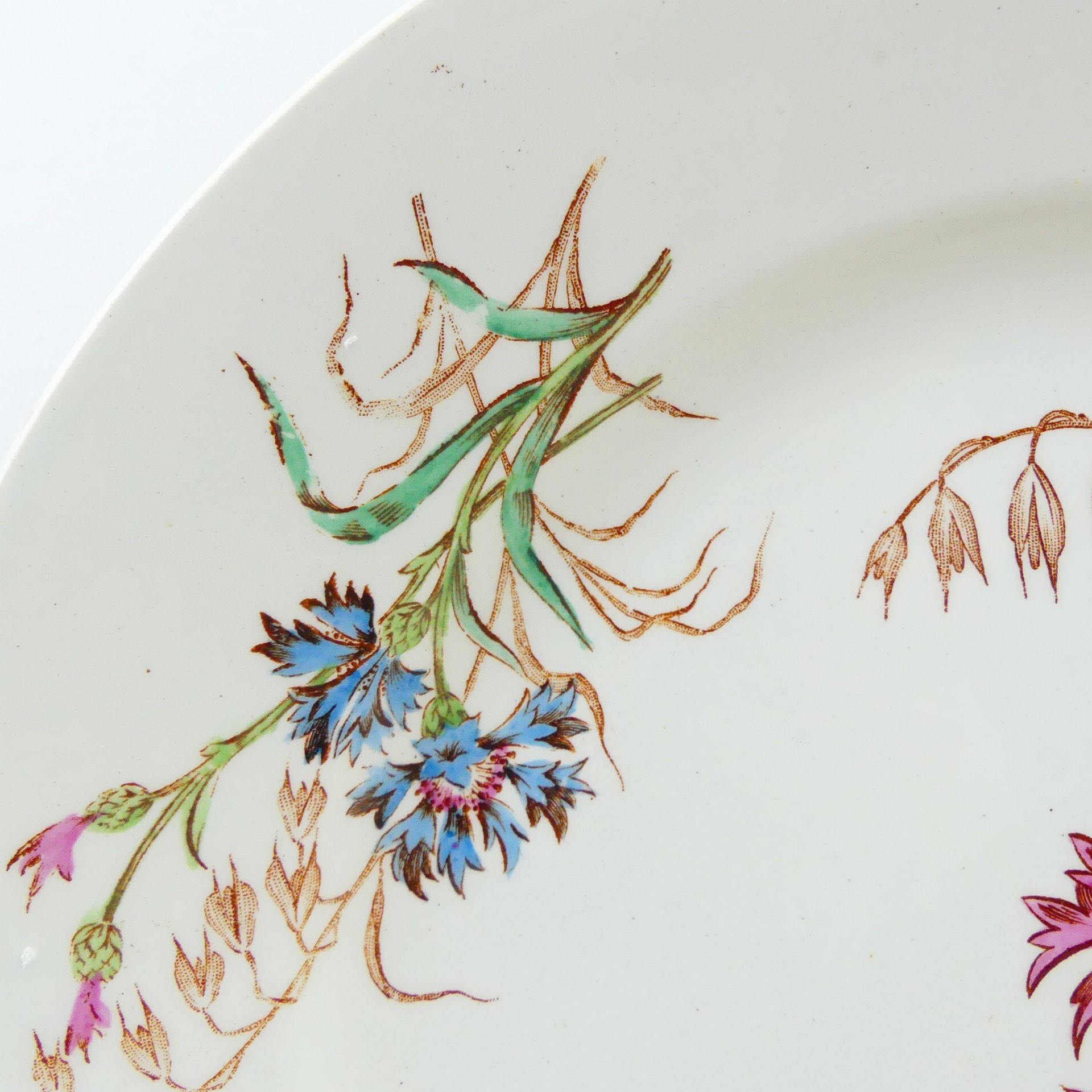 French plate - 19th century - Lunéville blueberry plate - Old colored ...