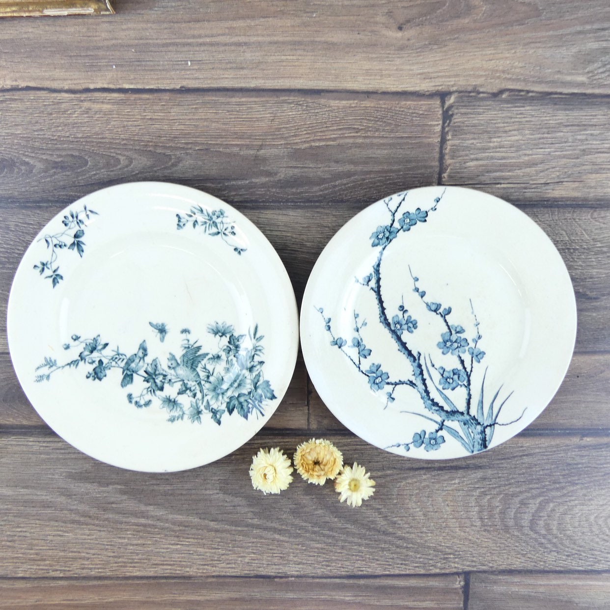 2 French plates shabby chic Longwy designs flowers and blue birds, old ...