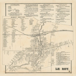 Village of LE ROY, Genesee County, New York 1866 Map - Etsy