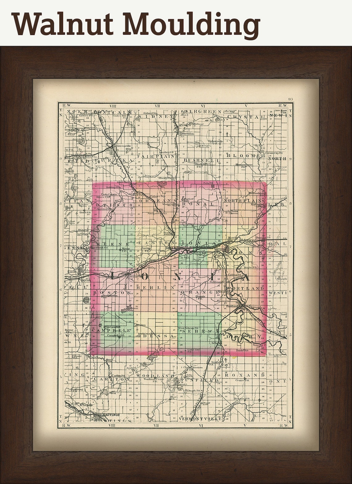 IONIA COUNTY Michigan 1873 Map Replica or Genuine Original | Etsy