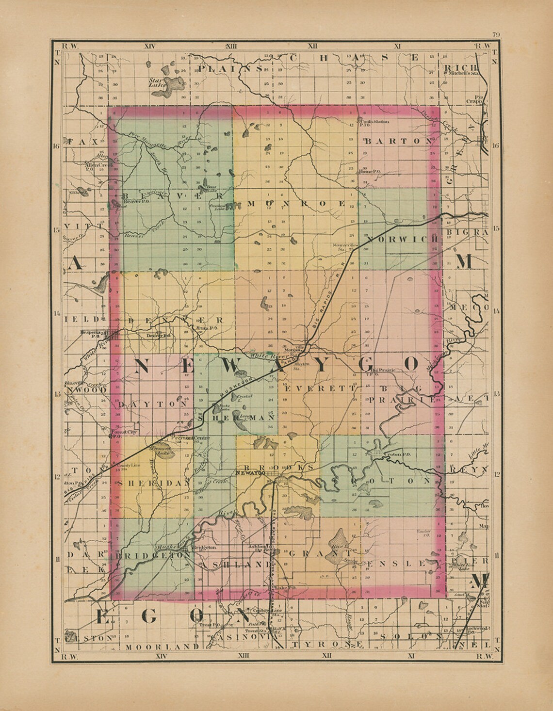 NEWAYGO COUNTY Michigan 1873 Map Replica or Genuine | Etsy