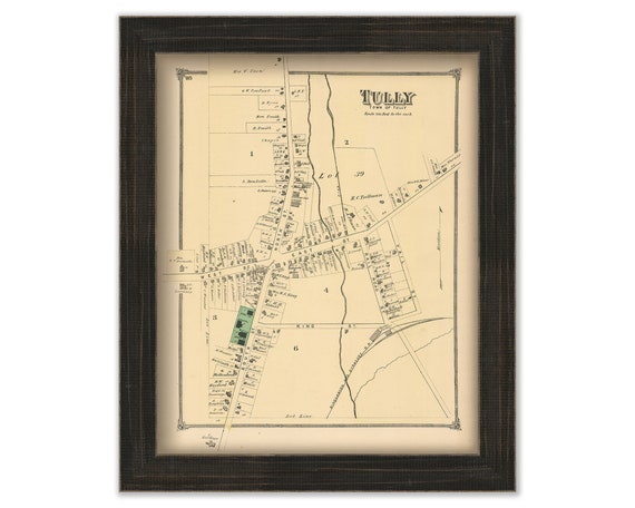 TULLY New York 1874 Map | Etsy