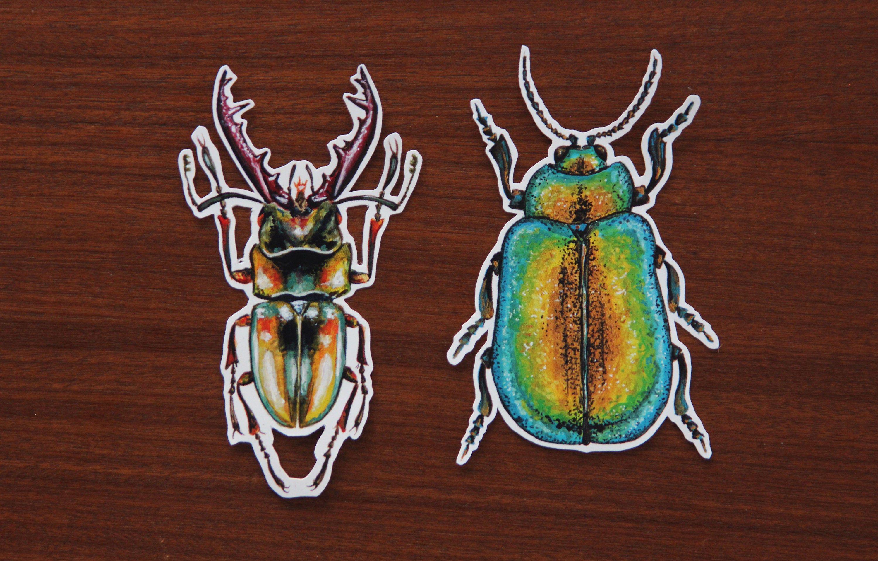 Beetles // Vinyl Sticker Pack - Etsy