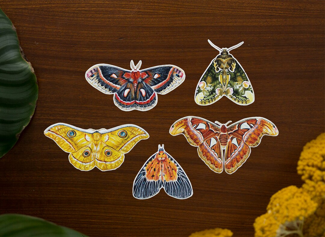 Moths // Vinyl Sticker Pack - Etsy