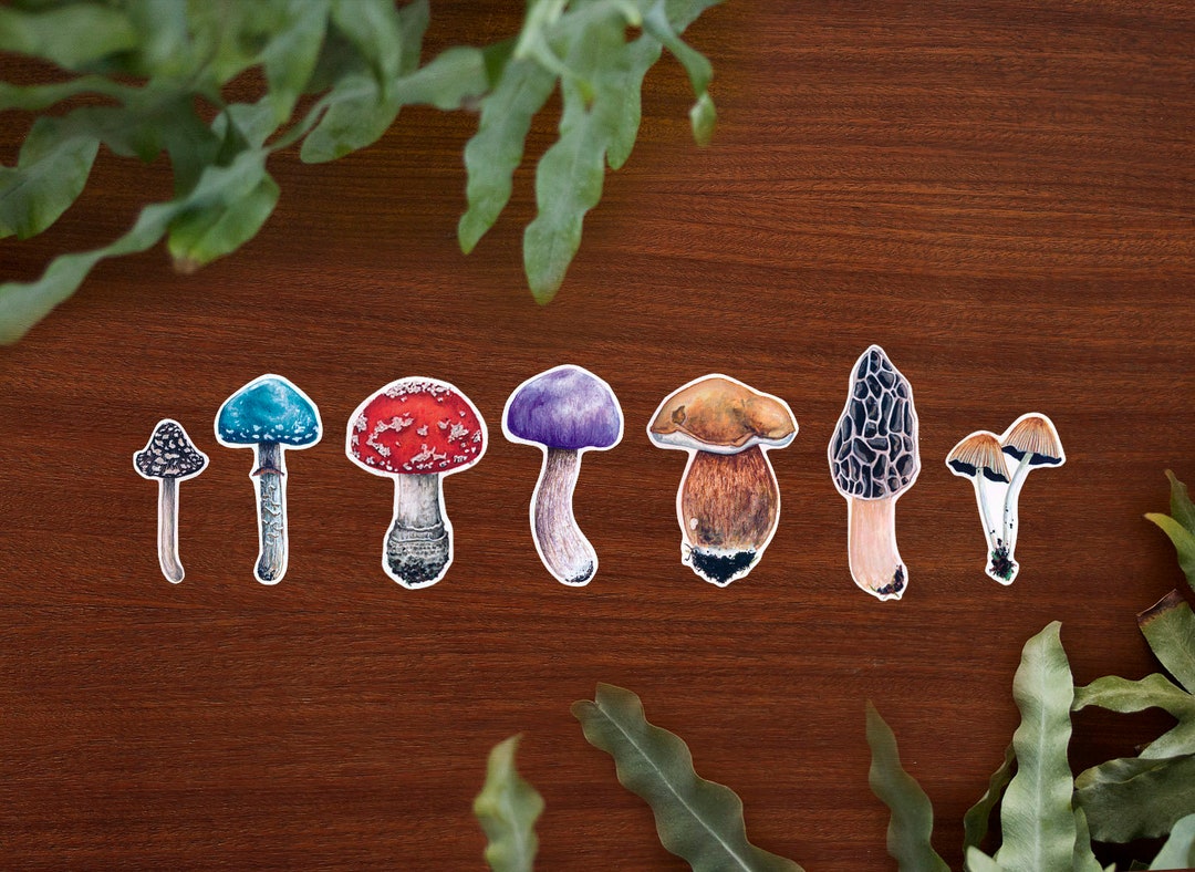 Mushrooms // Vinyl Sticker Pack - Etsy