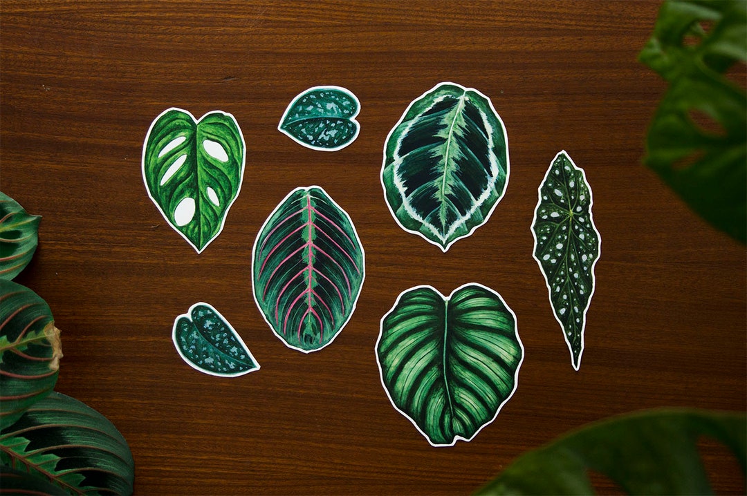 House Plants // Vinyl Sticker Set - Etsy