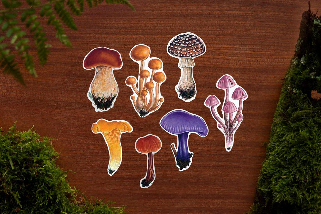 Fungi // Vinyl Sticker Pack - Etsy
