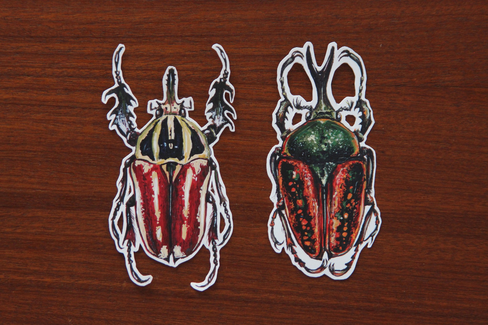 Beetles // Vinyl Sticker Pack | Etsy