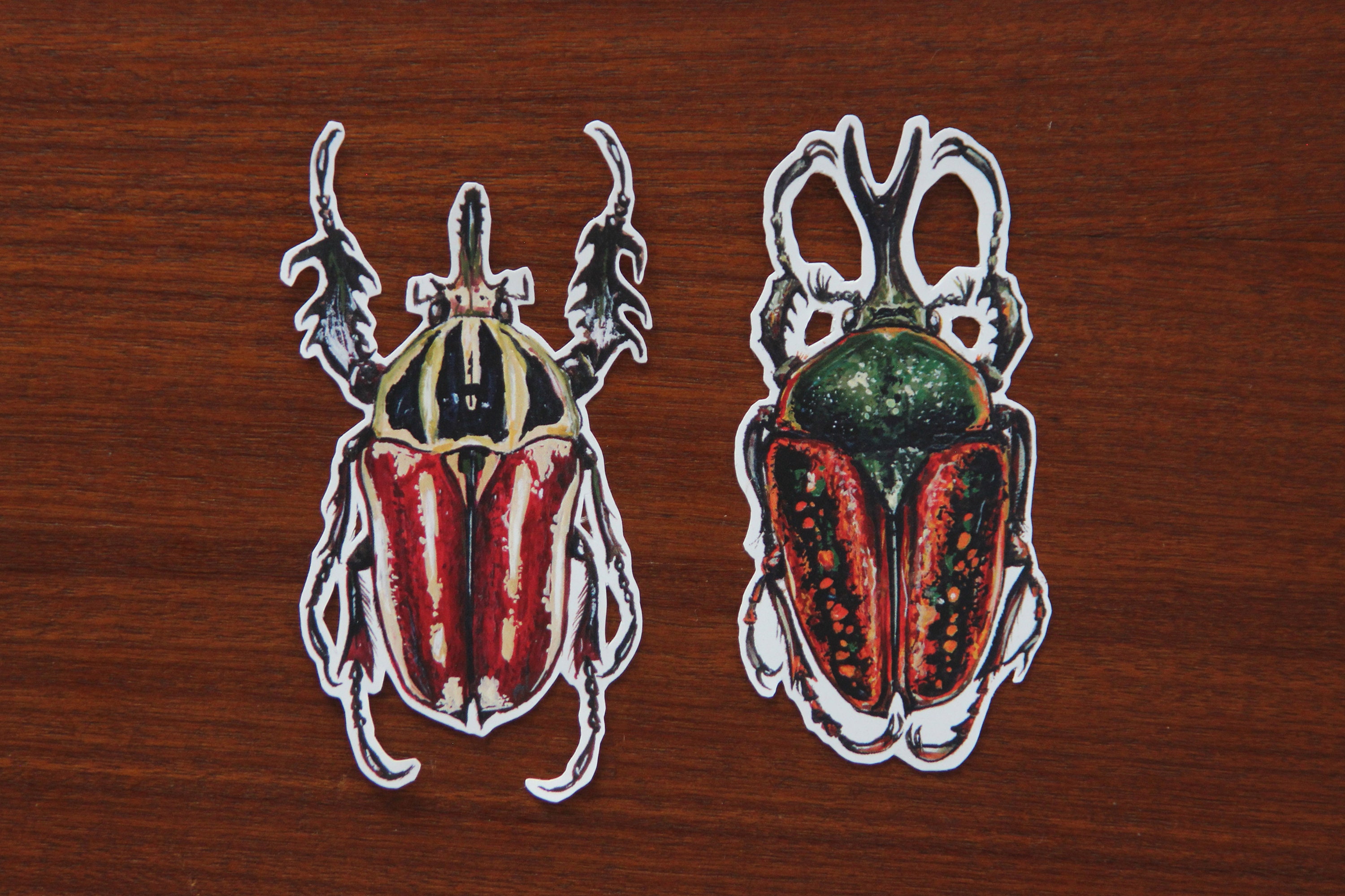 Beetles // Vinyl Sticker Pack - Etsy