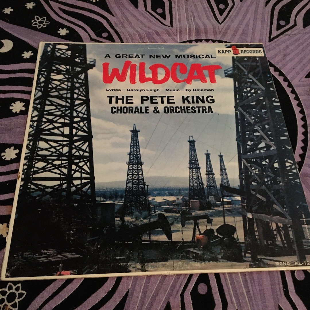 Vintage Wildcat Musical Soundtrack Record - Etsy Sweden