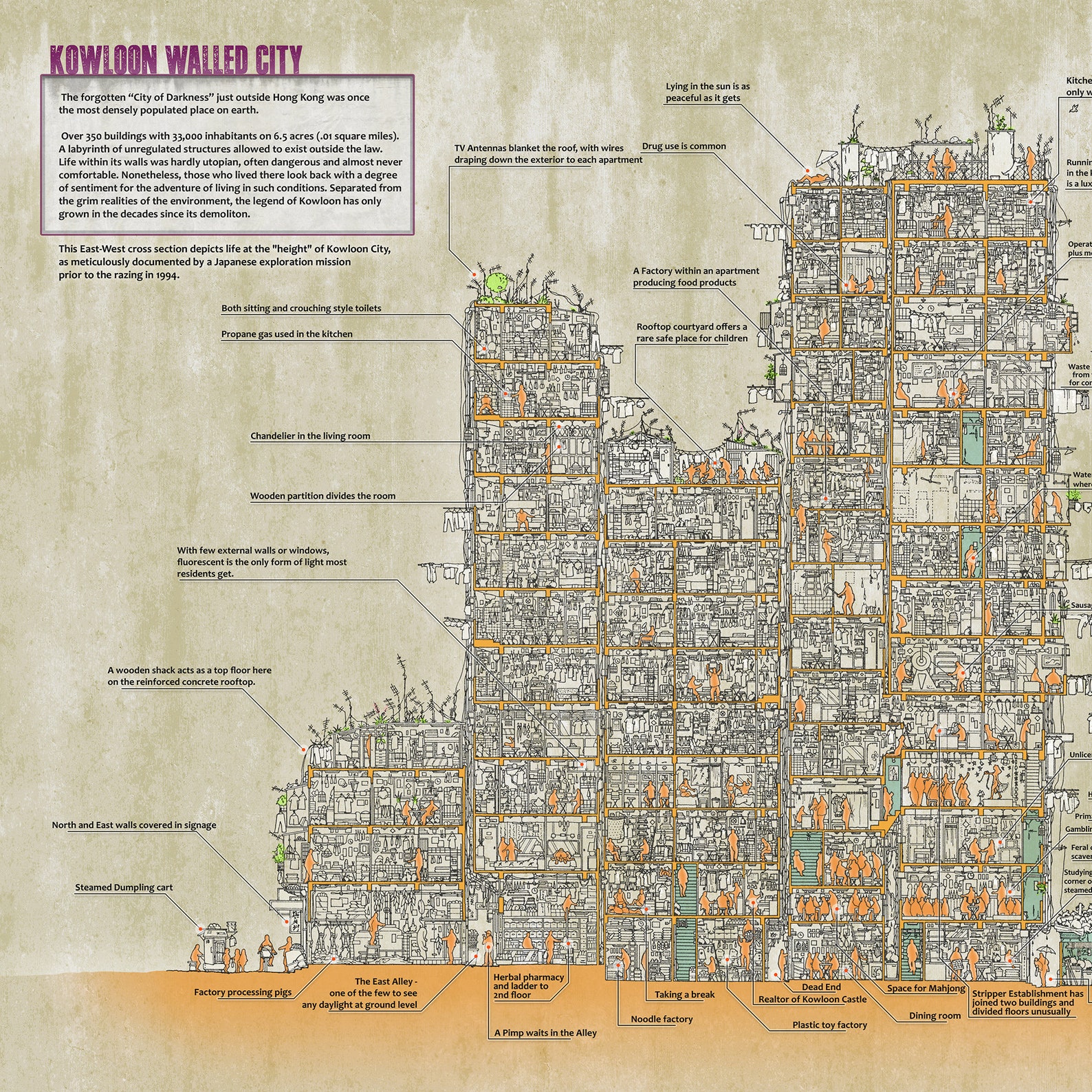 Kowloon Panorama - Walled City Cross Section - Colorversion: Classic - Etsy