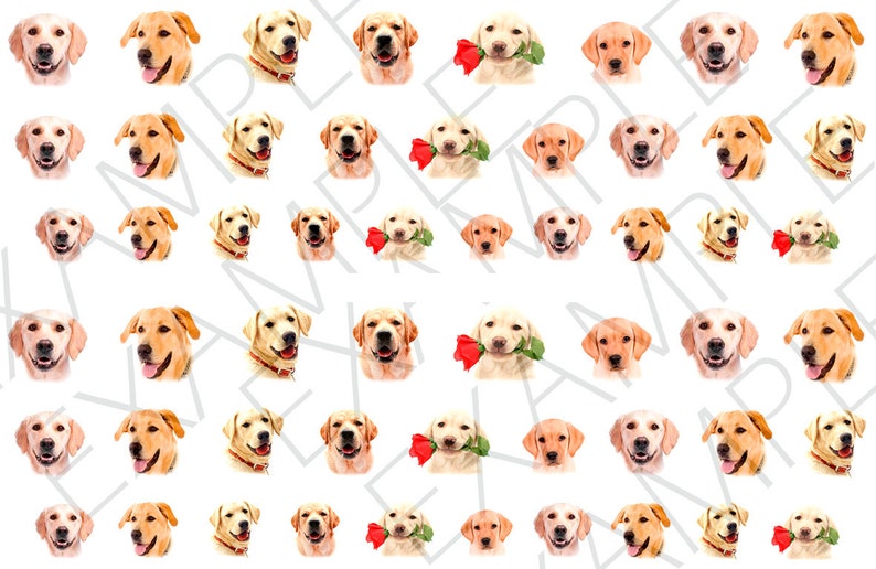 54 Labrador Retriever Nail Decals - A1291 - Etsy