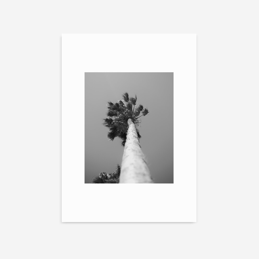 Botanical Photography Prints, Black and White Photography, PRINTABLE ...