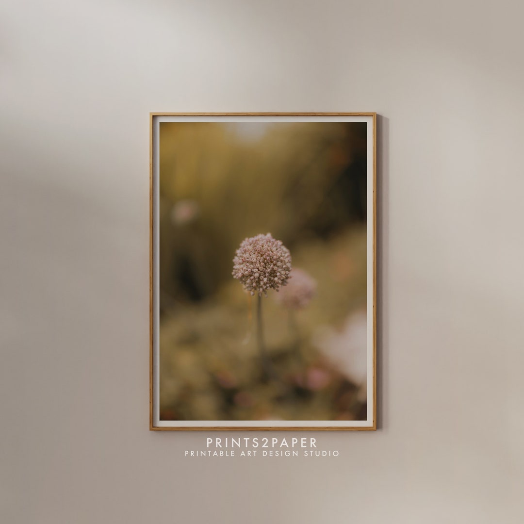 Botanical Photography Prints Pink Green Wall Art Photography - Etsy