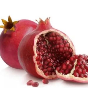 Varsity Shirin Pust Gharmez Pomegranate Tree – Cold-hardy, Large Sweet ...