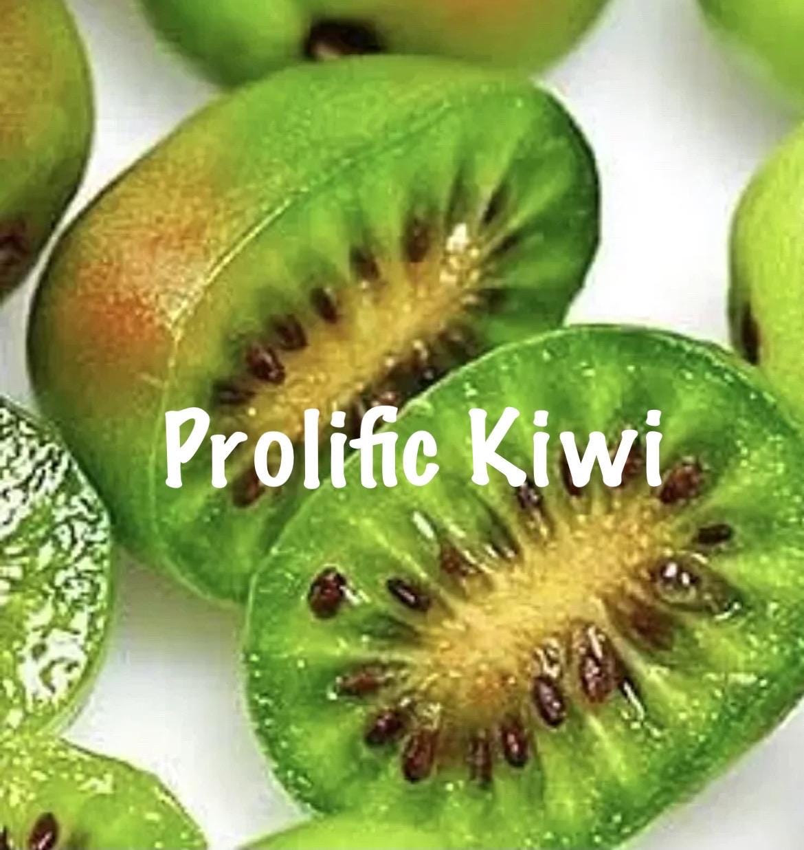 8 Prolific Cold-hardy Kiwi Plants: Self-fertile, No Fuzz - Etsy