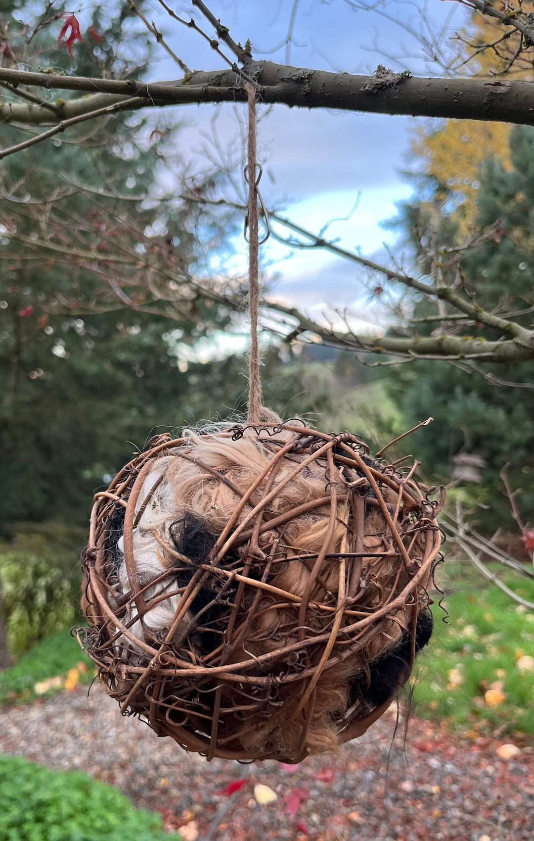 Alpaca Fiber Bird Nesting Balls 1oz, 3oz, 6oz, 3oz Refill - Etsy