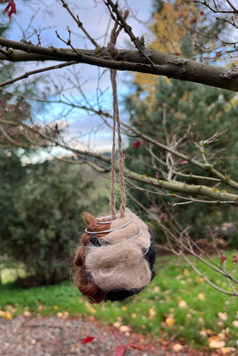 Alpaca Fiber Bird Nesting Balls 1oz, 3oz, 6oz, 3oz Refill - Etsy