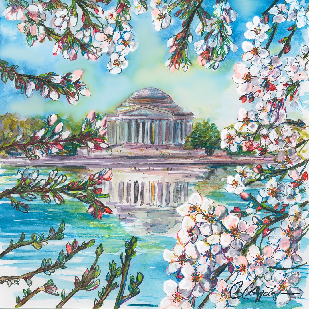 Cherry Blossom Cycle Gicleé Print at the Tidal Basin in Washington DC by Cris Clapp Logan - Etsy