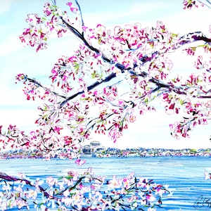 Washington DC Cherry Blossom Jefferson Monument Original Print by Cris ...