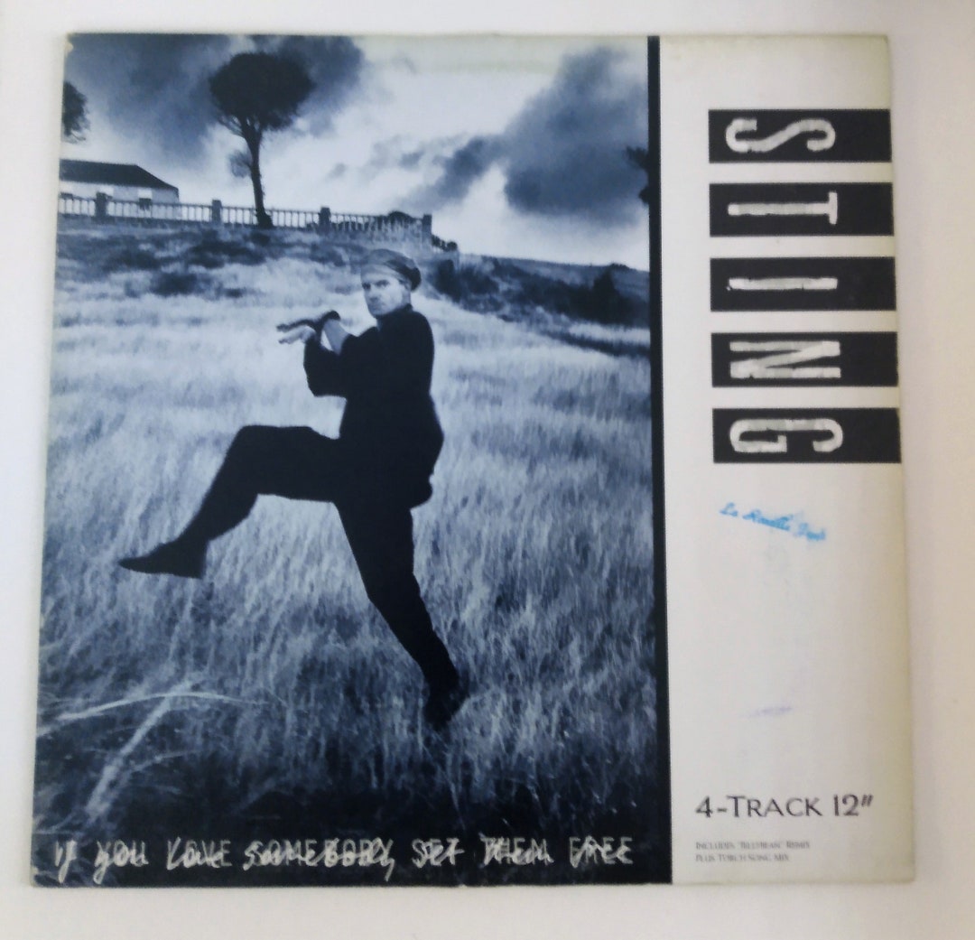 1985 Sting - If You Love Somebody Set Them Free , Vinyl, 12", 45 RPM 4 Track Record Rare - Etsy