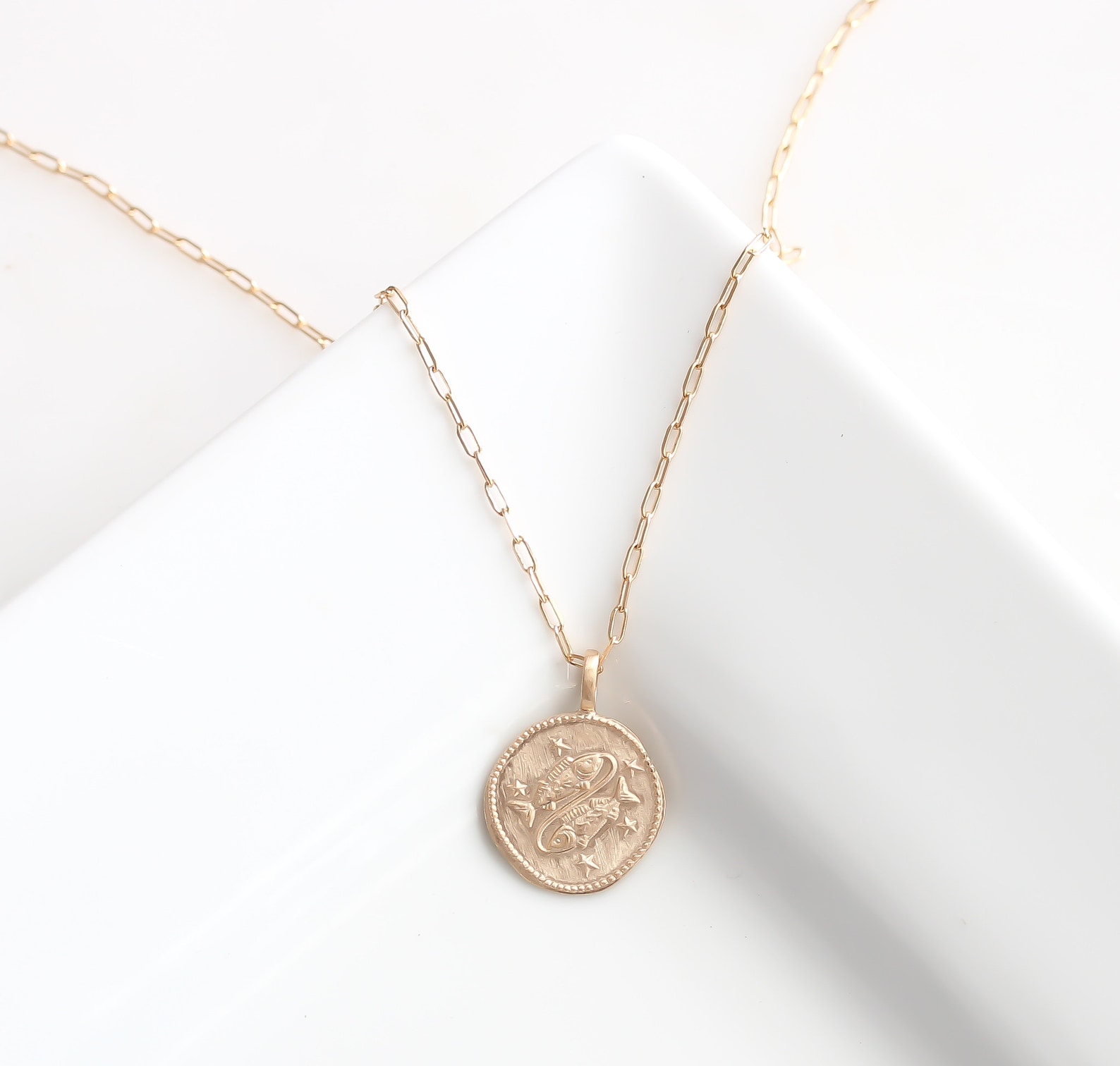 Zodiac Coin Necklace. Gold Dainty Astrology Pendant Sign - Etsy