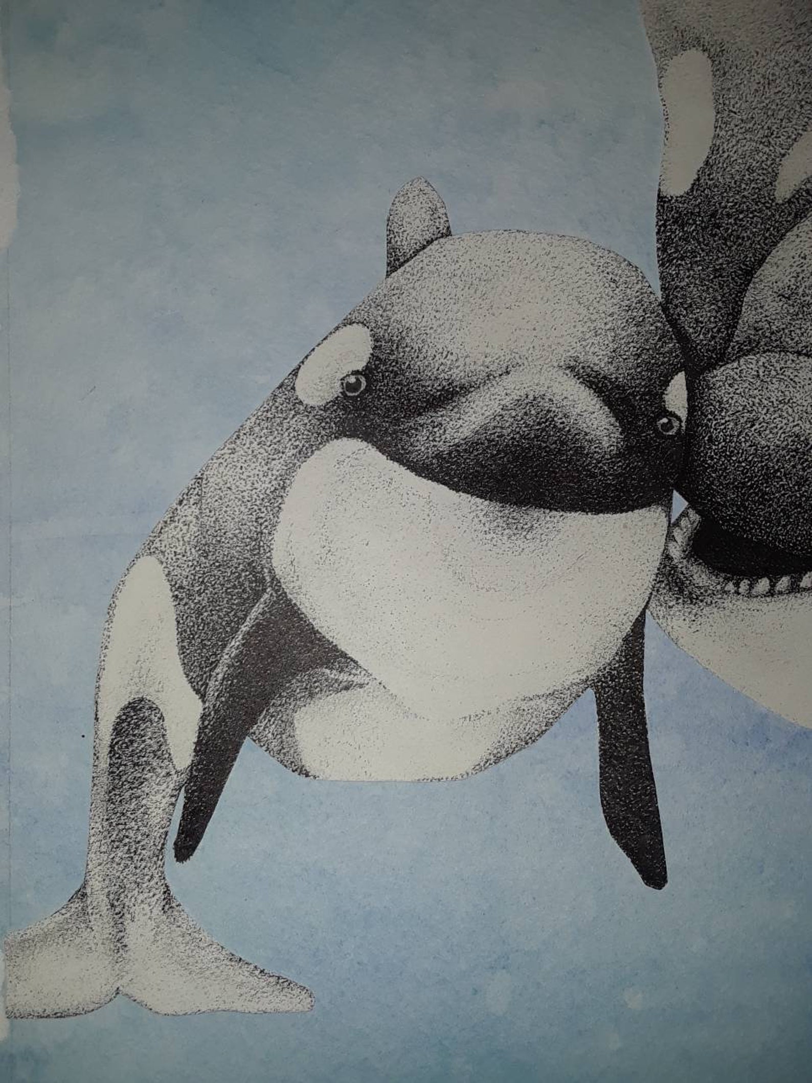 Orca Killer Whale Mother and Baby Tula and Calypso the Orcas - Etsy