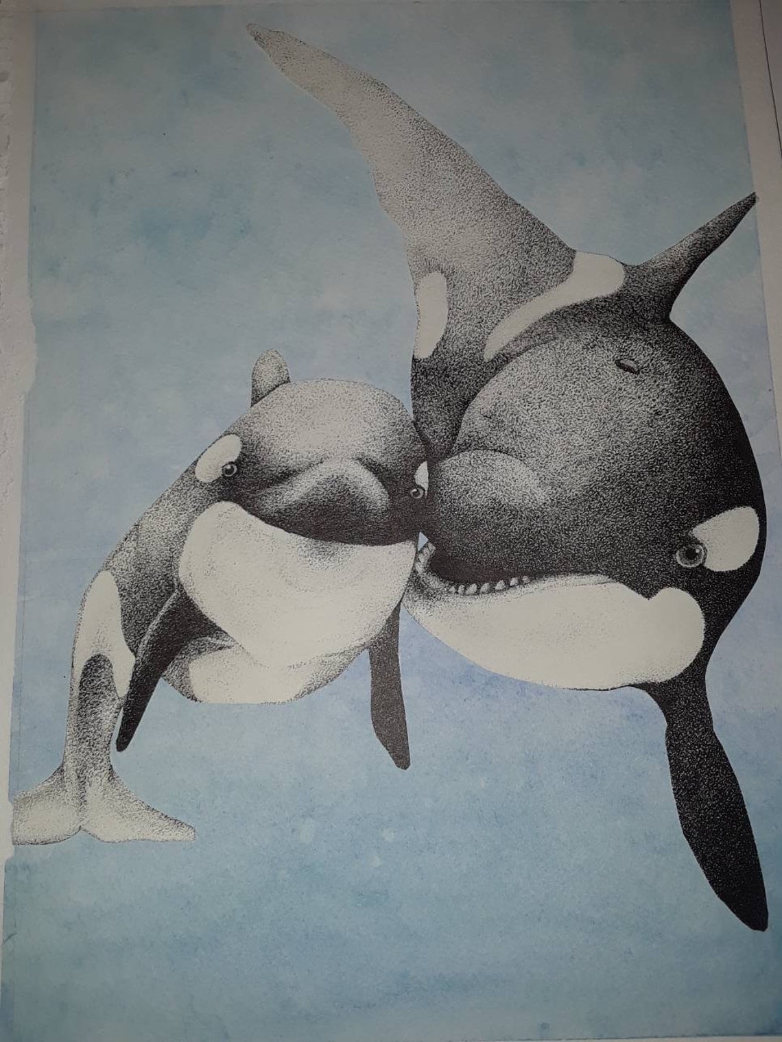 Orca Killer Whale Mother and Baby Tula and Calypso the Orcas - Etsy