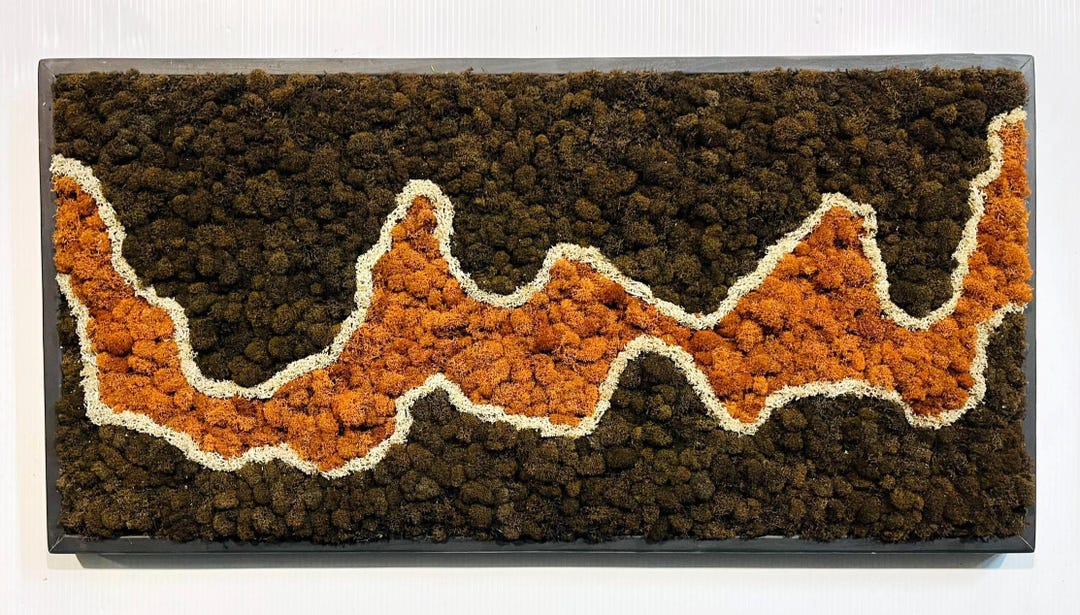 Preserved Moss Frame - Etsy