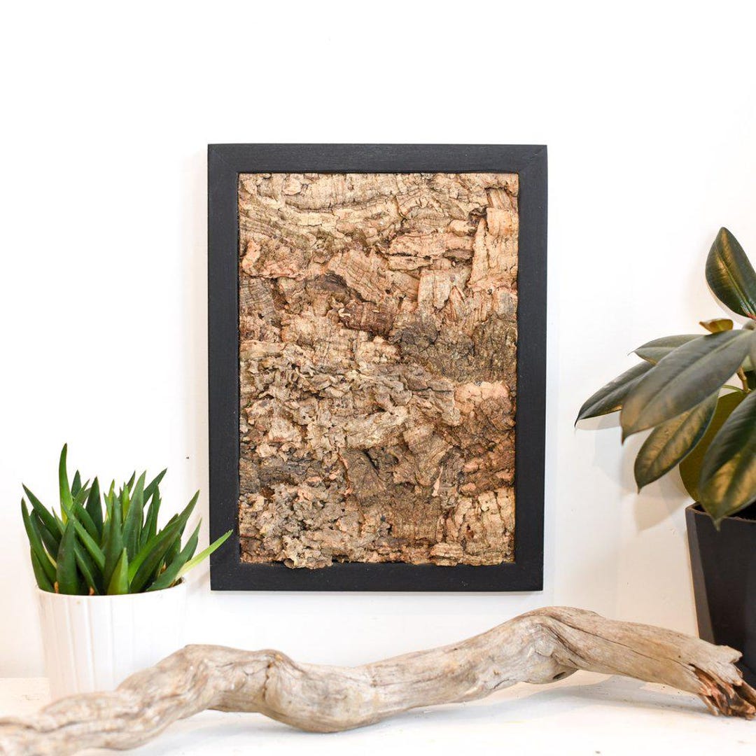 Bark Nature Frame - Etsy
