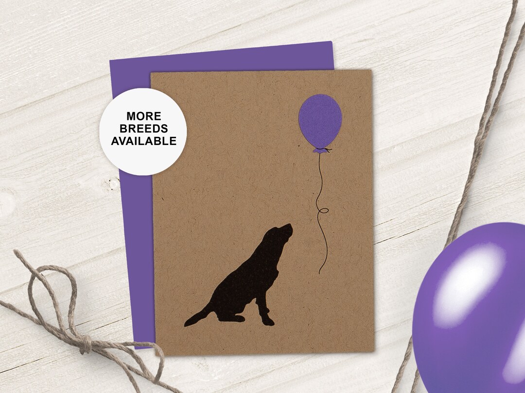 Lab Birthday Card, Congratulations Card, Balloon - Etsy UK