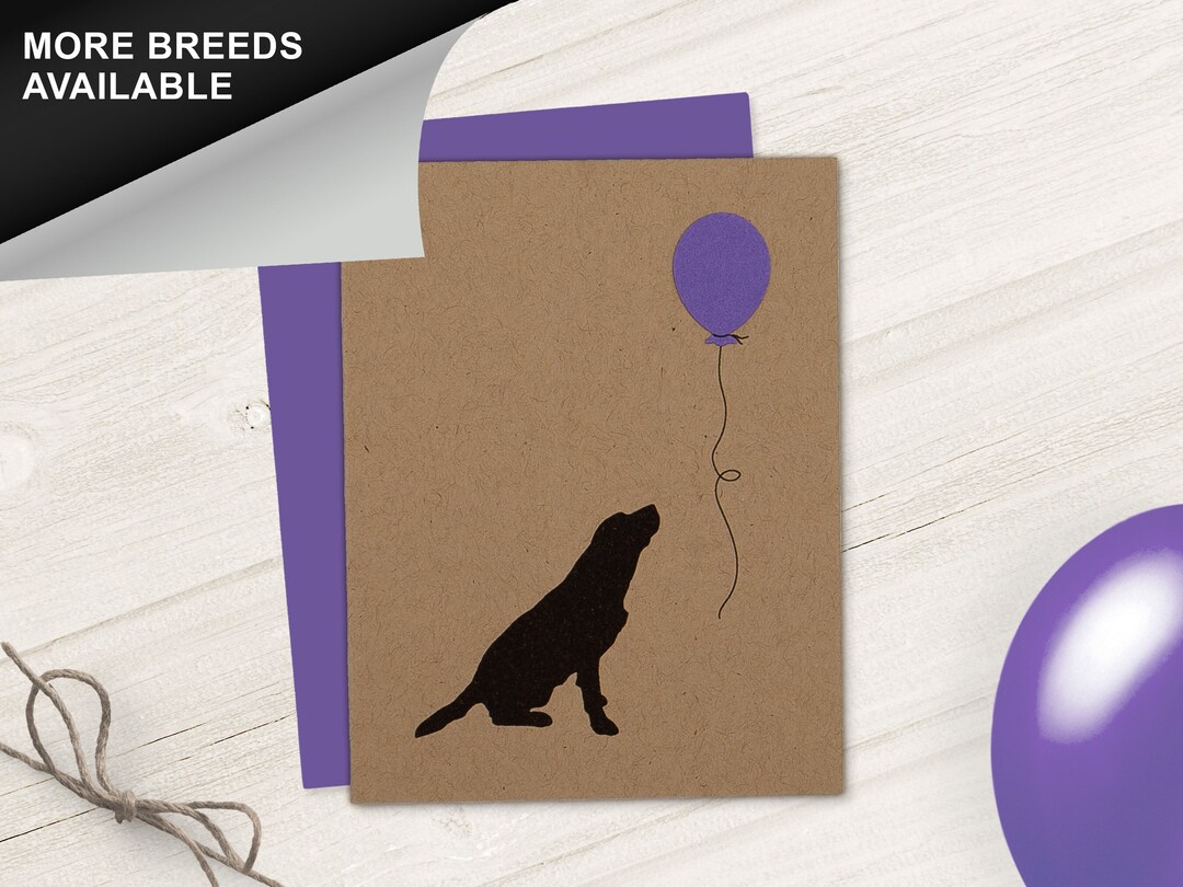 Lab Birthday Card, Congratulations Card, Balloon - Etsy