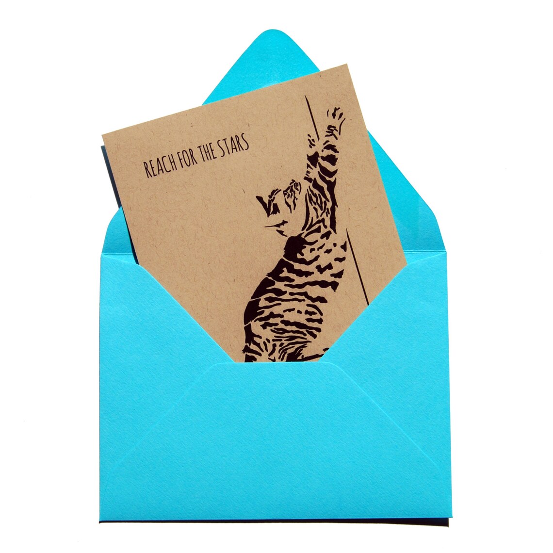 Cat Good Luck Card Reach for the Stars Card Tabby Cat Card | Etsy