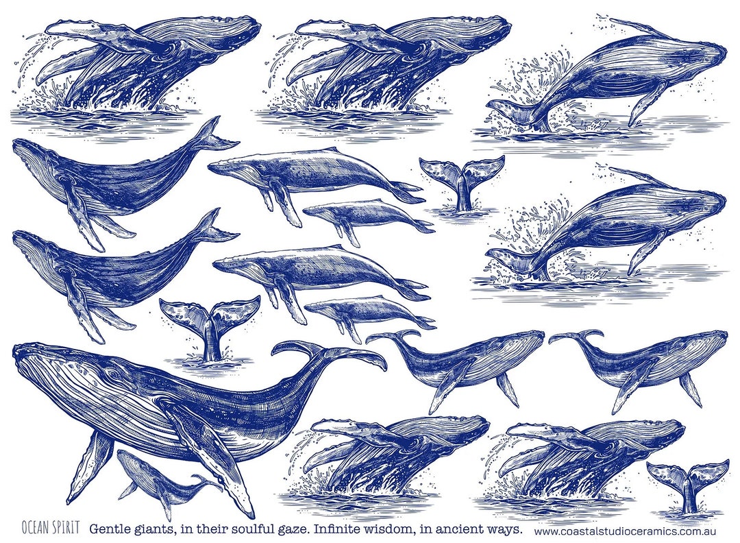 Ceramic Underglaze Transfers, Underglaze Decals, Ceramic Decal, Pottery ...