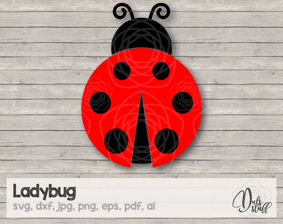 Catarina svg mariquita svg catarina cricut catarina - Etsy México