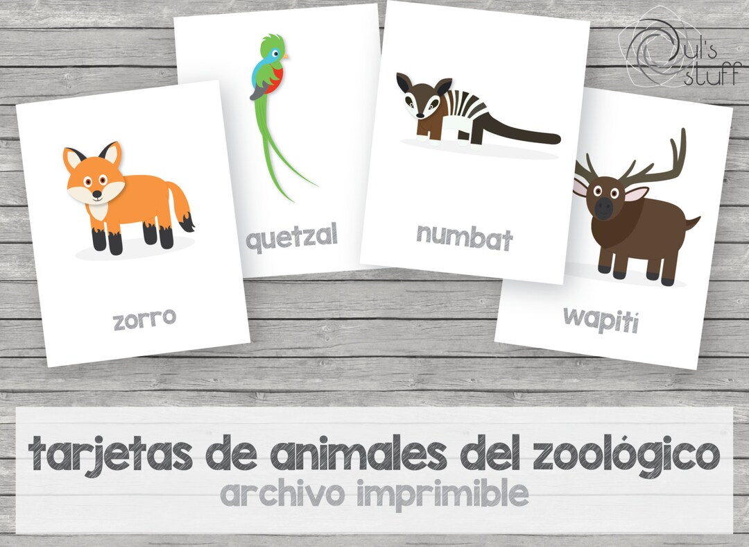 Printable Kids Zoo Animals Flashcards, Spanish - Etsy