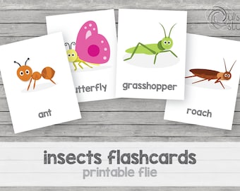 Tarjetas de insectos imprimibles para niños inglés-español | Etsy México