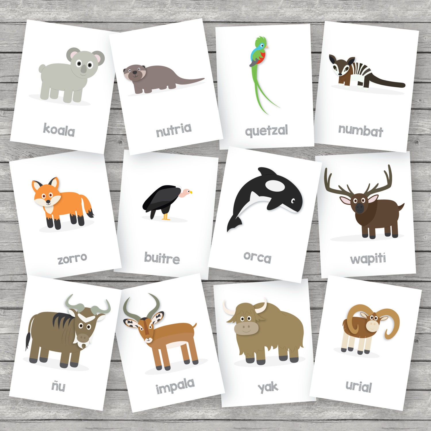 Printable Zoo Animal Flashcards for Kids in Spanish - Etsy