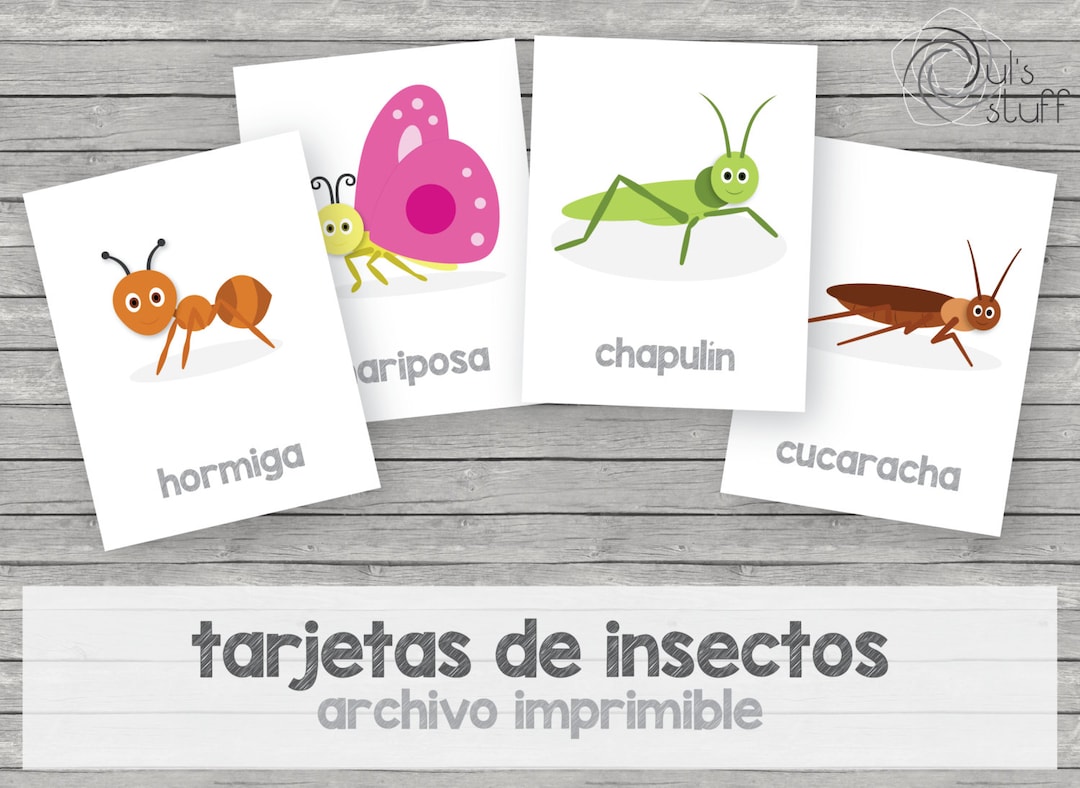 Printable Kid’s Insect Flashcards, Spanish - Etsy